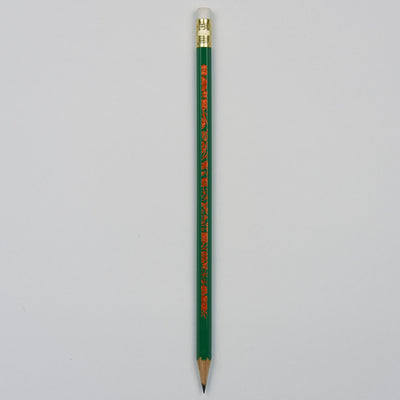 Decomposition Pencils - California Poppies