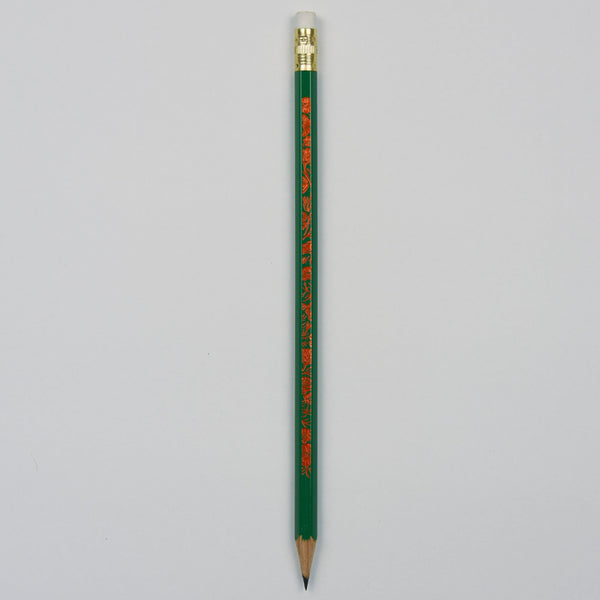 Decomposition Pencils - California Poppies