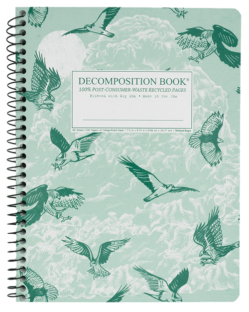 Birds of Prey Gift Set: Three Notebooks & a Dozen Pencils