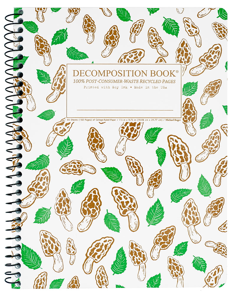 Forest Floor Decomposition Book