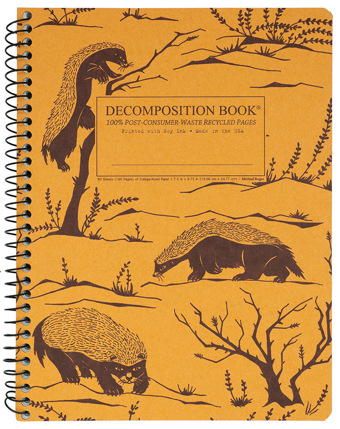 Honey Badgers Decomposition Book