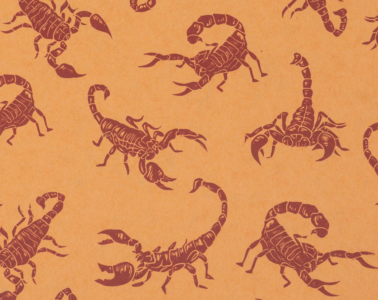 Scorpions Decomposition Book