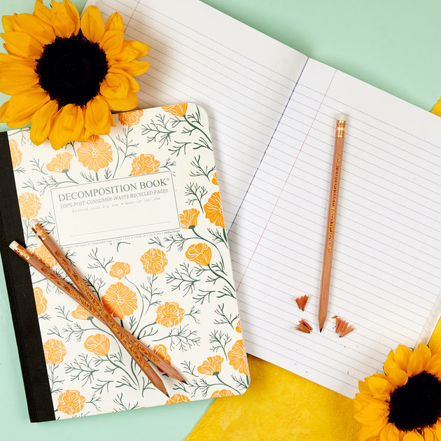 Extra Large Notebooks - Big Size - Decomposition