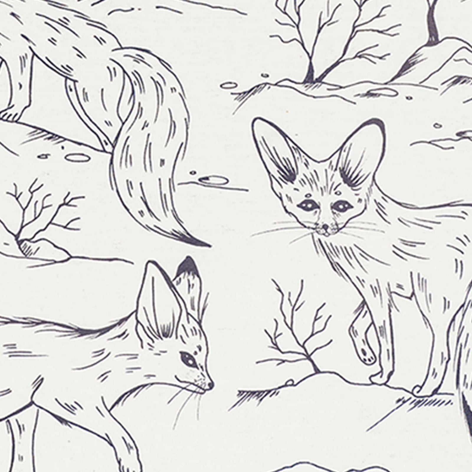 Fennec Foxes - Spiral Bound, College Ruled, 9.75 × 7.5 Notebook